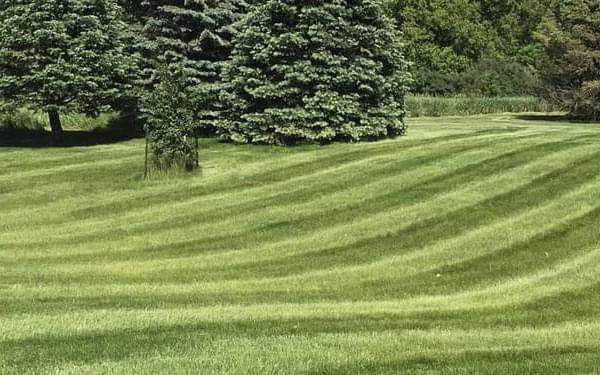Badger Lawns and Landscape